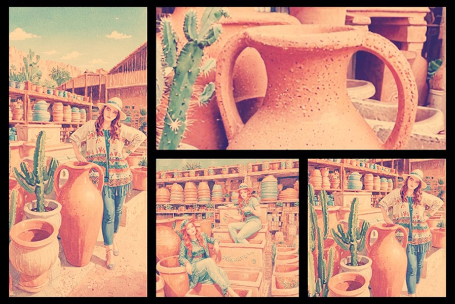 Pépinières du Flayosquet – Un site utilisant WordPress